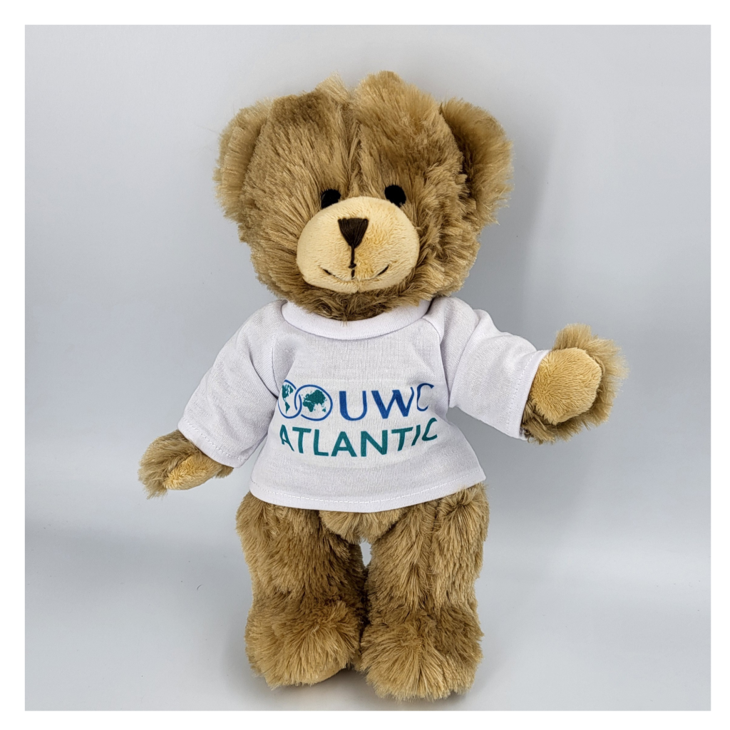 Gift Teddy - 20cm - UWC Atlantic Experience